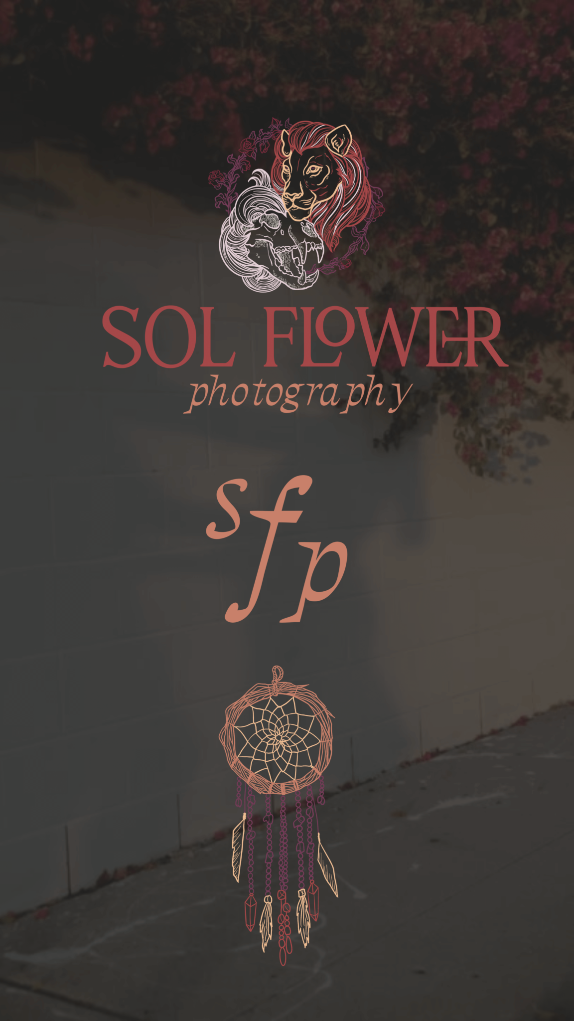 Sol Flower Photo - houseofwdesign.com