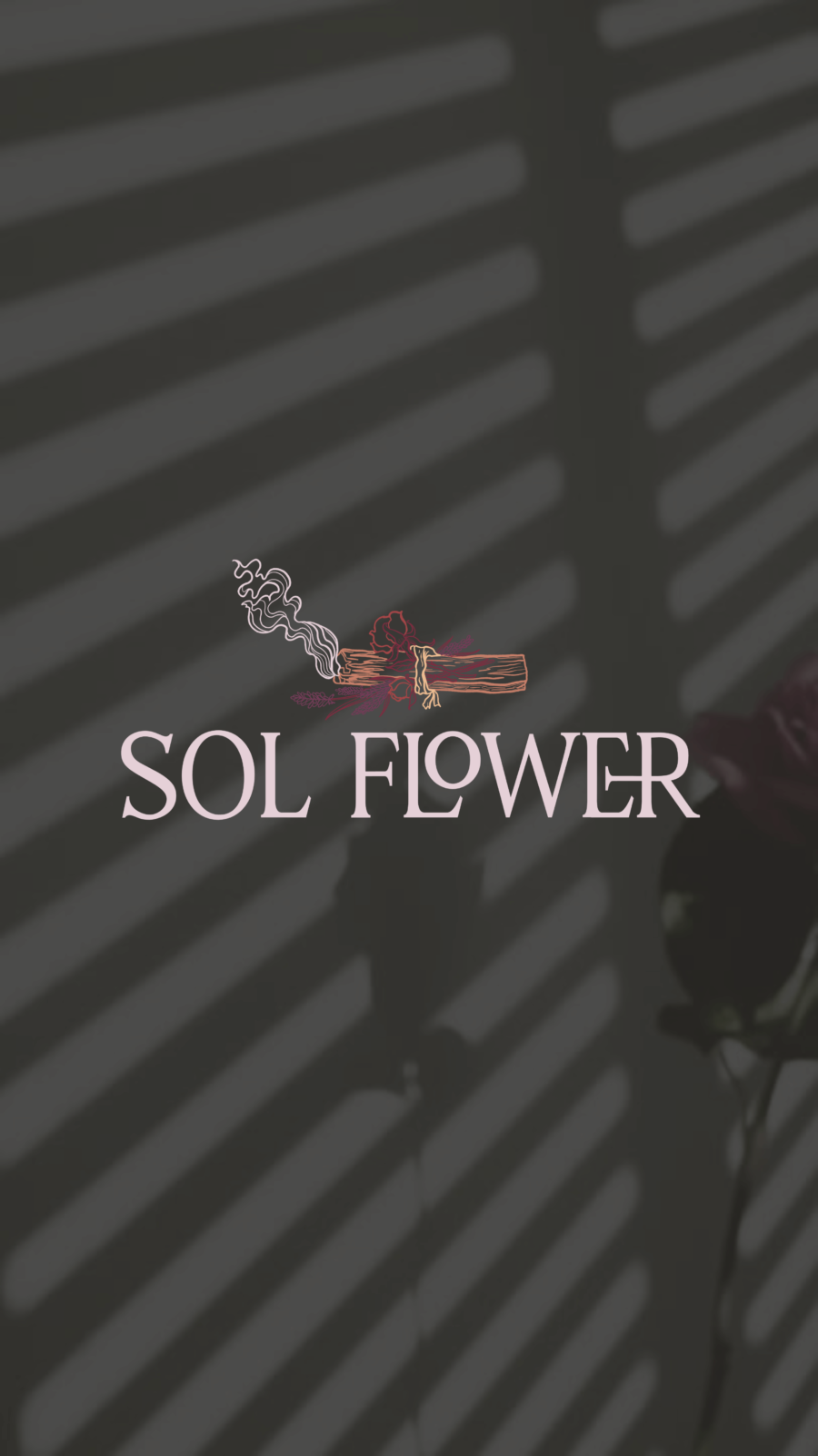 Moody Photography Brand Design | Sol Flower Photo