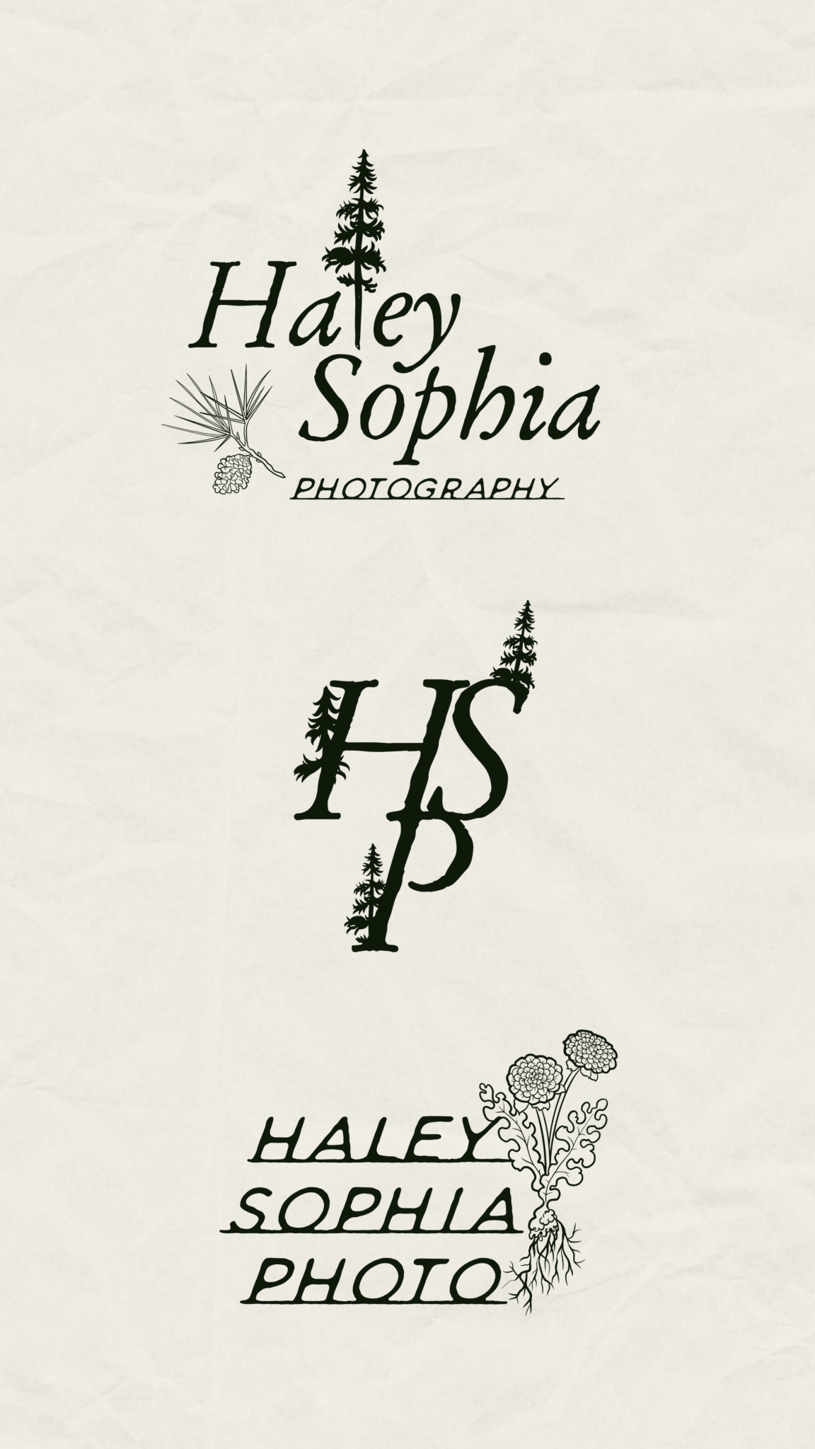 Earthy Brand and Web Design for Photographers