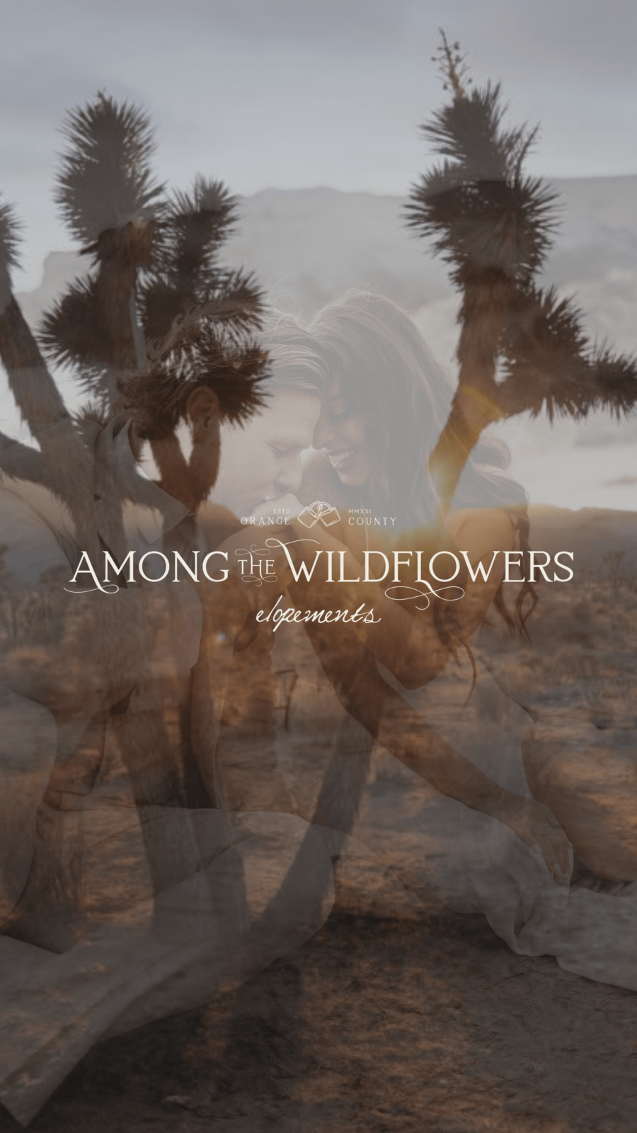 Emotive Brand Design for Photographers